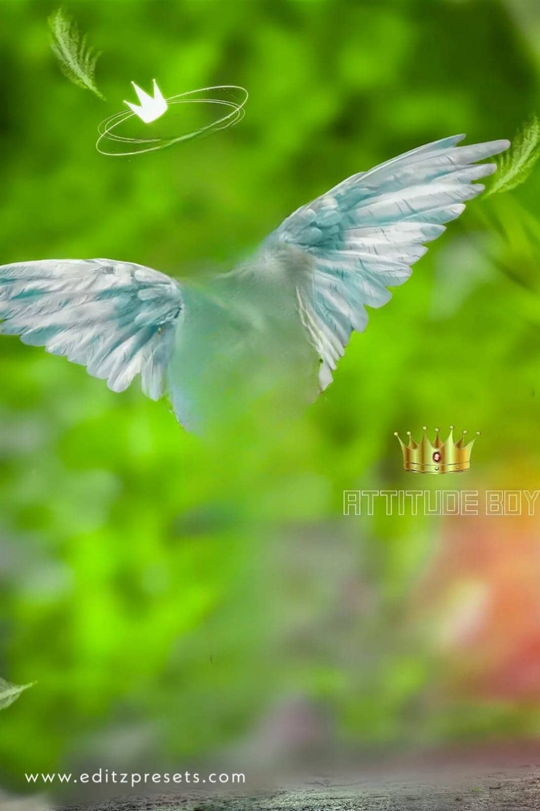 RDX Editor Photo Editing Background 2000+ (FREE Download) - Editz Presets
